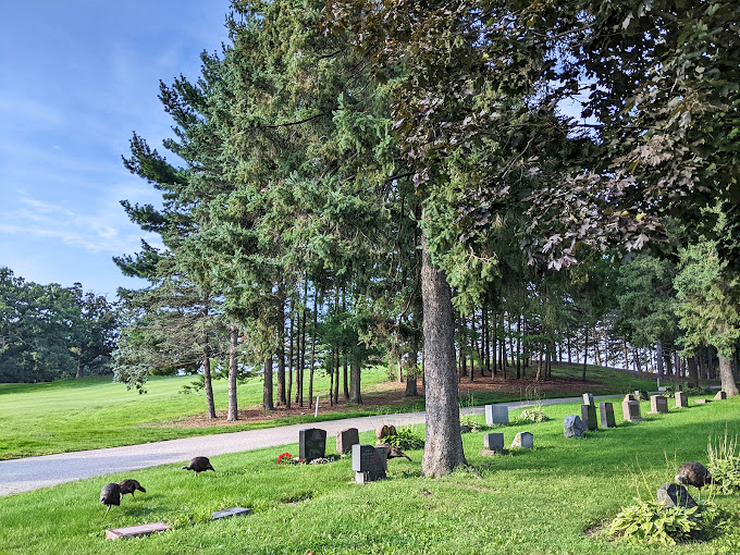 Nature's embrace meets human artistry. With its rolling hills and stunning monuments, Forest Hill is like an outdoor museum with really quiet docents.