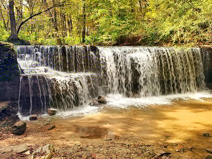 Shhh... it's a secret! Hidden Falls is like nature's speakeasy &ndash; a little hard to find, but totally worth the effort.