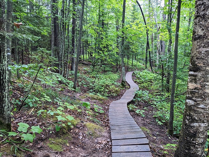 This secluded waterfall proves that sometimes the best discoveries require a little extra footwork.