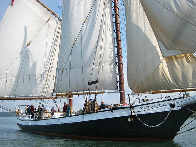 Wind in the sails, sun on the horizon &ndash; it's like stepping into a maritime painting, but with less seasickness and more fun.