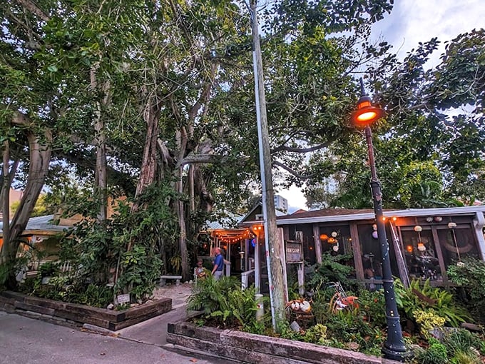 Backyard party vibes and gourmet seafood collide at Owen's. It's like your coolest friend opened a restaurant!