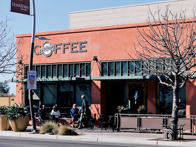 Coffee culture meets small-town charm at Peixoto. Pull up a chair and watch Chandler life unfold over a perfect latte.