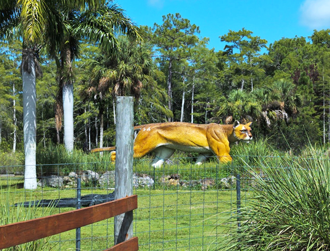 CSI meets Bigfoot in this delightfully odd research center. Warning: May cause sudden urges to go sasquatch hunting!