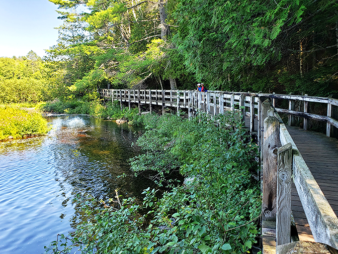 Walk this way! Tahquamenon's boardwalk leads you to views so spectacular, you'll forget you're not in a screensaver.