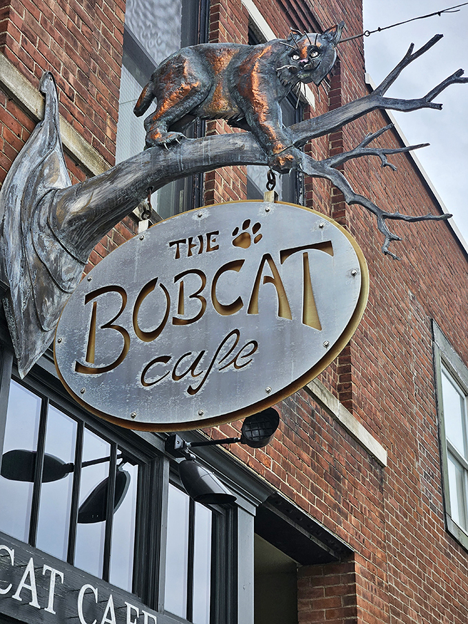 Brick, brews, and brilliant breakfasts! The Bobcat proves that "hair of the dog" can be a gourmet experience, especially when paired with perfect eggs.