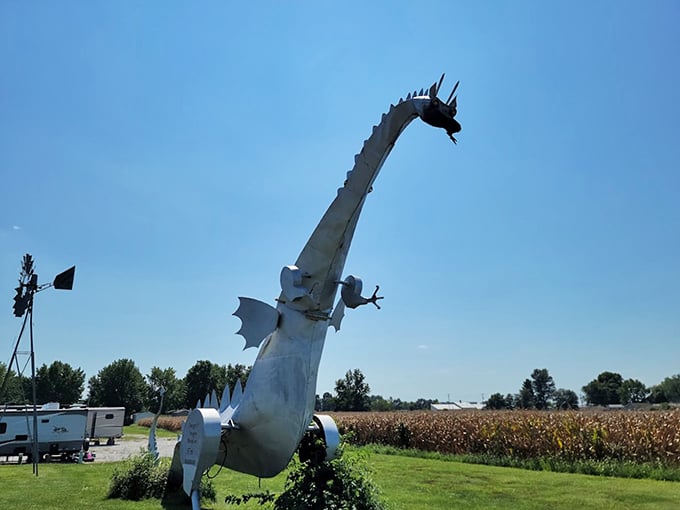 Daenerys would be jealous. Vandalia's flame-throwing friend puts the 'drag' in dragon boat races.