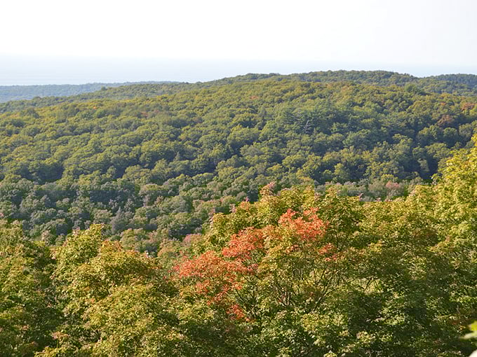 The Porkies: Where fall foliage goes to show off. It's like nature's own fireworks display, minus the loud noises. Photo credit: WinddancerD