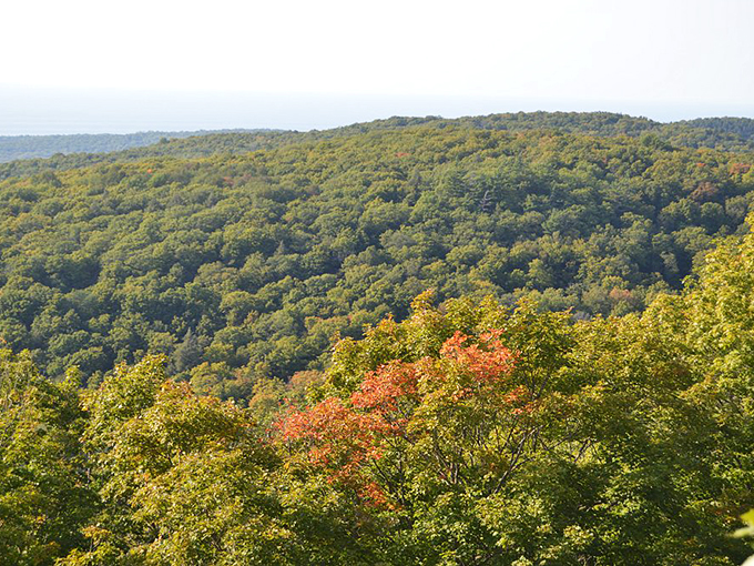Wilderness untamed, views unmatched. The "Porkies" serve up a feast for the eyes, no utensils required.