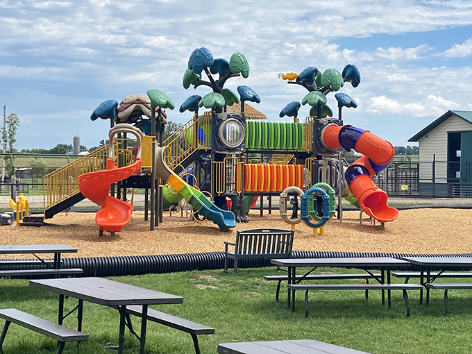 Who says playgrounds are just for kids? This colorful jungle gym might tempt you to channel your inner child. Just don't get stuck in the slide!