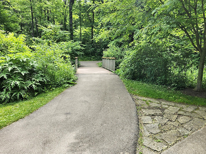"Follow the yellow brick&hellip; er, concrete road. This path leads to a wizard's tower, minus the flying monkeys."