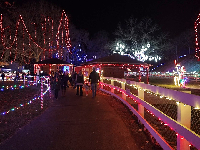 Night owls and early birds unite! Families stroll through this illuminated wonderland, creating memories brighter than the displays themselves.
