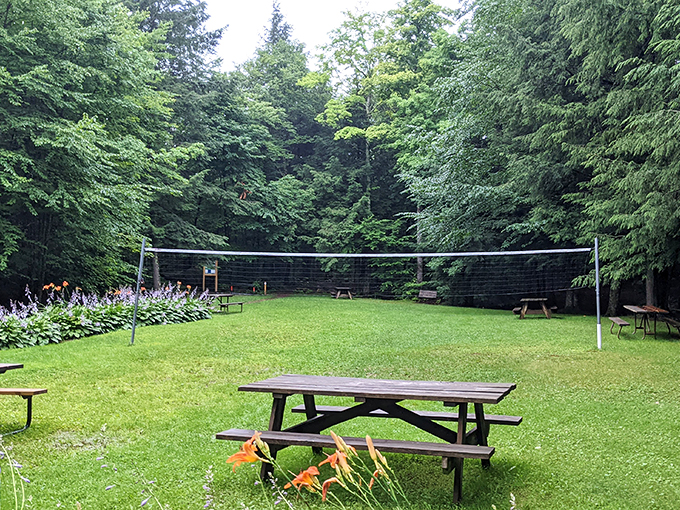 Picnic paradise or impromptu volleyball court? This clearing offers both, proving that Gifford Woods knows how to multitask in style.