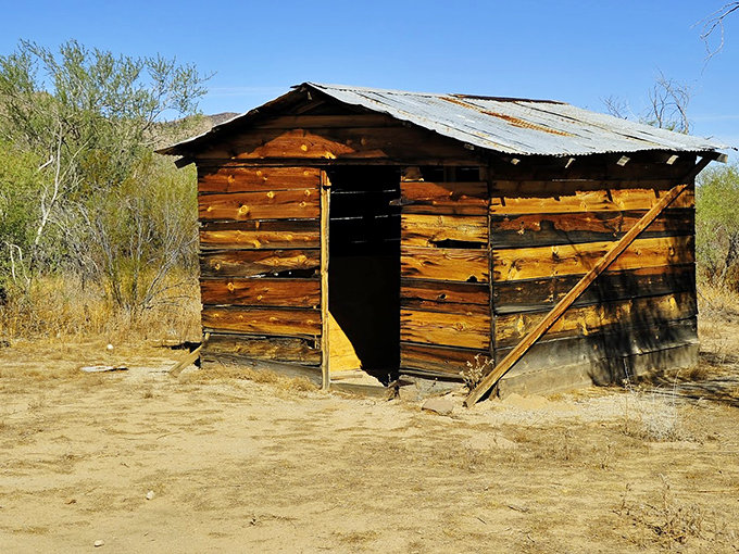 This weathered wooden cabin whispers tales of Arizona's frontier days, standing strong against time and elements. Photo credit: Lad