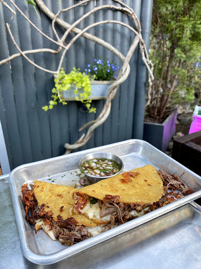Crispy, cheese-crusted birria tacos with consomm&eacute; - the kind of dish that makes you want to hug the chef.