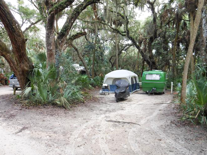 Camping nirvana awaits! Pitch your tent in this leafy paradise, where the only traffic jam is a family of turtles crossing the path.