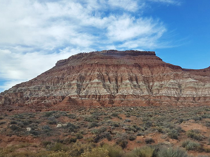 Nature's color palette at work: rust-red cliffs and sage-green desert brush create an artist's dream landscape. 