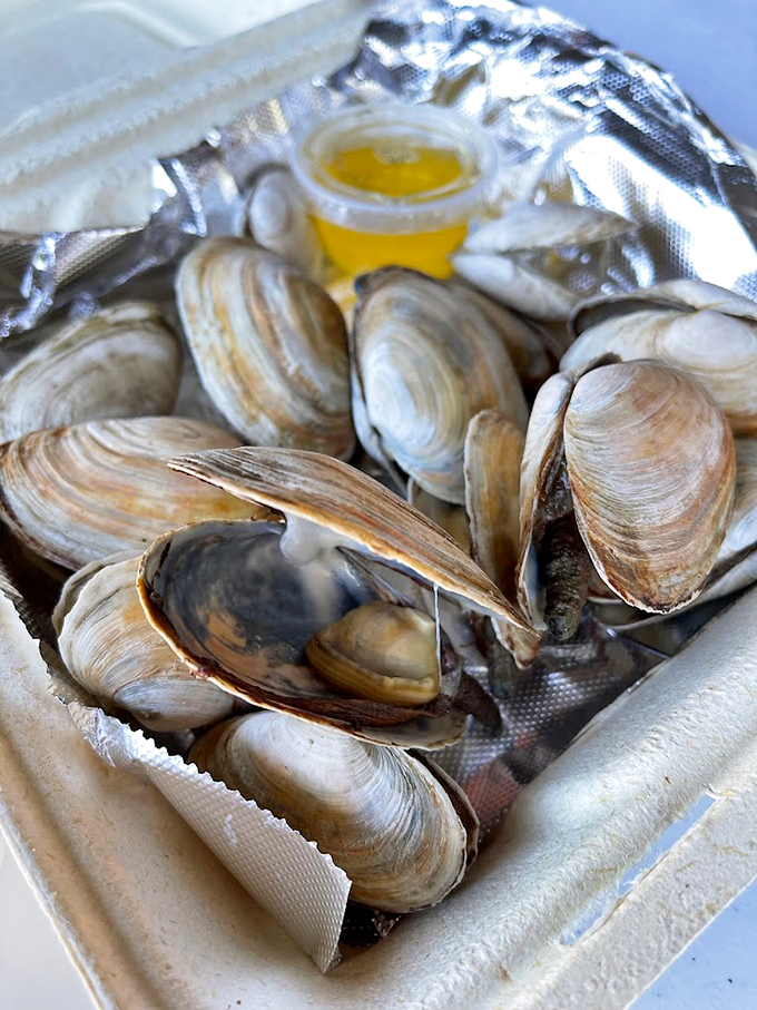 These steamed clams are having their golden moment, complete with melted butter that's basically liquid sunshine.