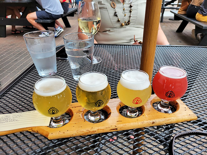 A flight of golden craft beers catches the afternoon sun. Each glass promises its own adventure in local brewing artistry.