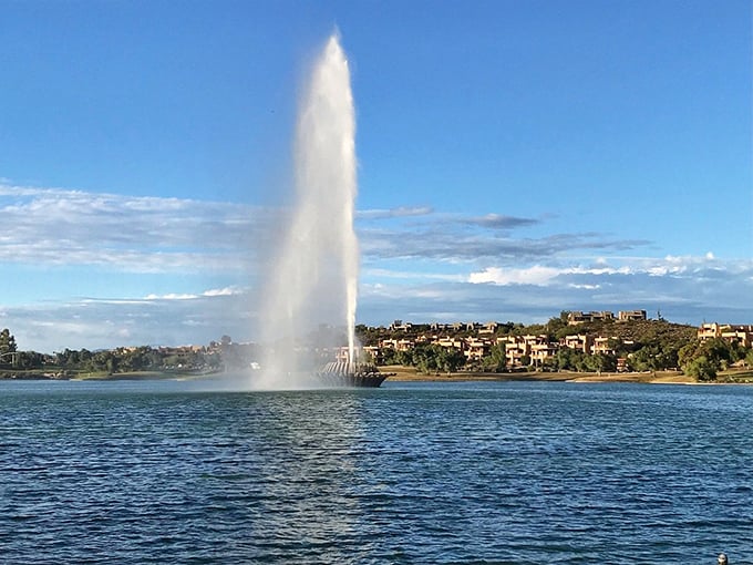 Desert ducks have found their paradise, sharing the lake with one of the world's tallest fountains.
