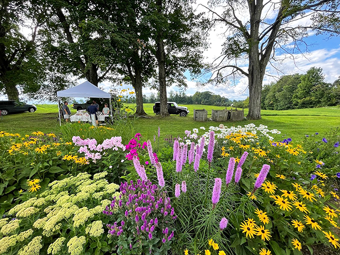 Nature's own bouquet bursts with color - black-eyed Susans, liatris, and hydrangeas create a garden worthy of a period drama.