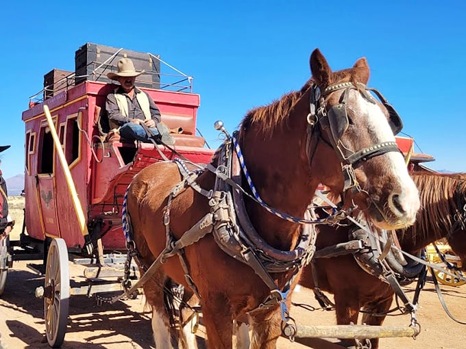 Giddy up! These four-legged stars are ready for their close-up. Just don't ask them about their trailer demands or union rates. Photo credit: Kimberly Chadwick