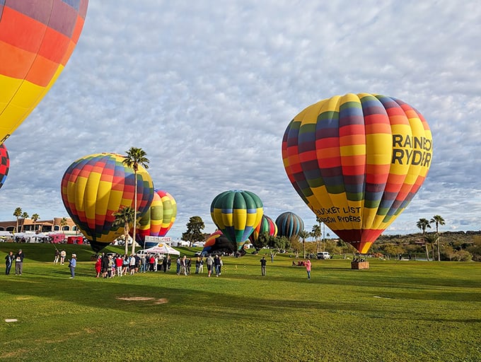 Rainbow-colored balloons dot the morning sky, adding extra magic to the park's already spectacular views.