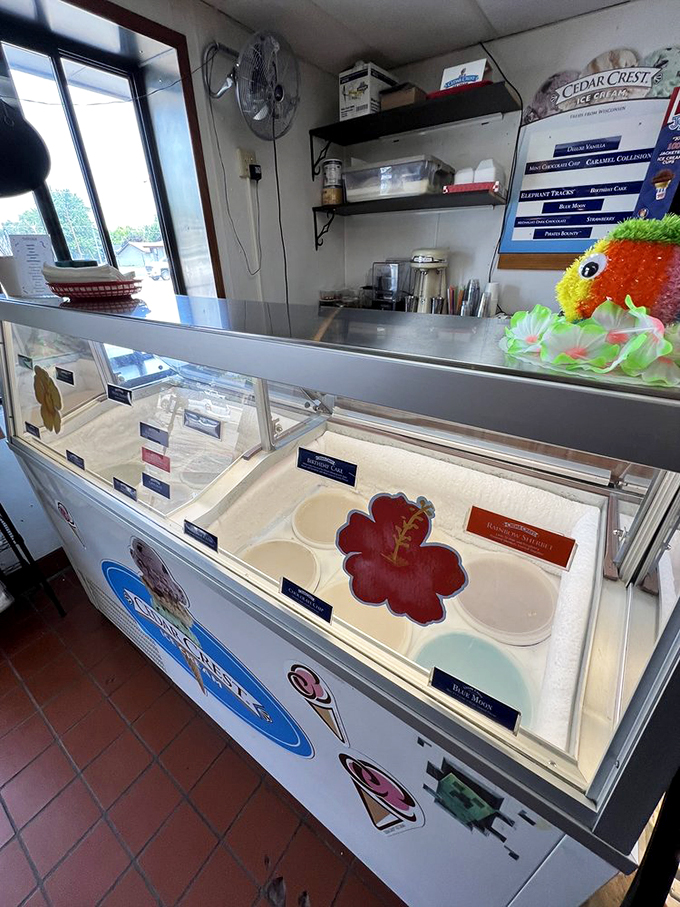 I scream, you scream, we all scream for... Cedar Crest! This local favorite is the cherry on top of Lehmann's sweet offerings.