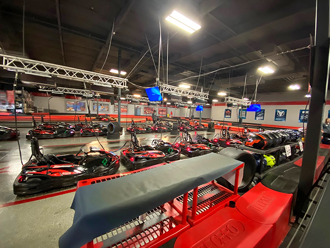 Behold, the chariots of fire! These sleek go-karts are itching to hit the track faster than kids running to an ice cream truck.