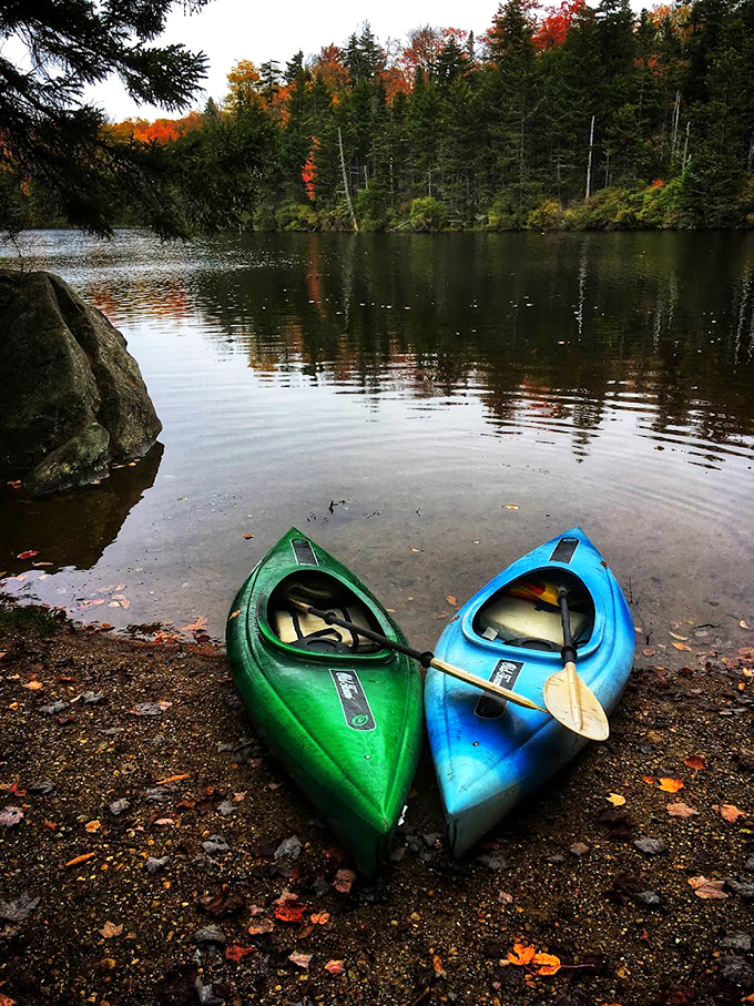 These kayaks look like colorful comma marks on nature's storybook shore, ready to punctuate your day with adventure.