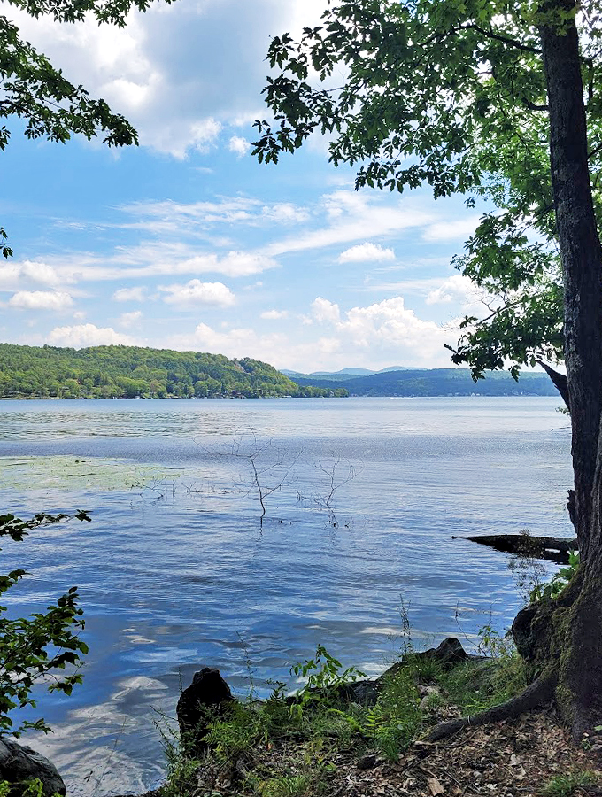Tree-framed tranquility: Nature's own picture window, offering views that'll make your Instagram followers green with envy. #NoFilterNeeded