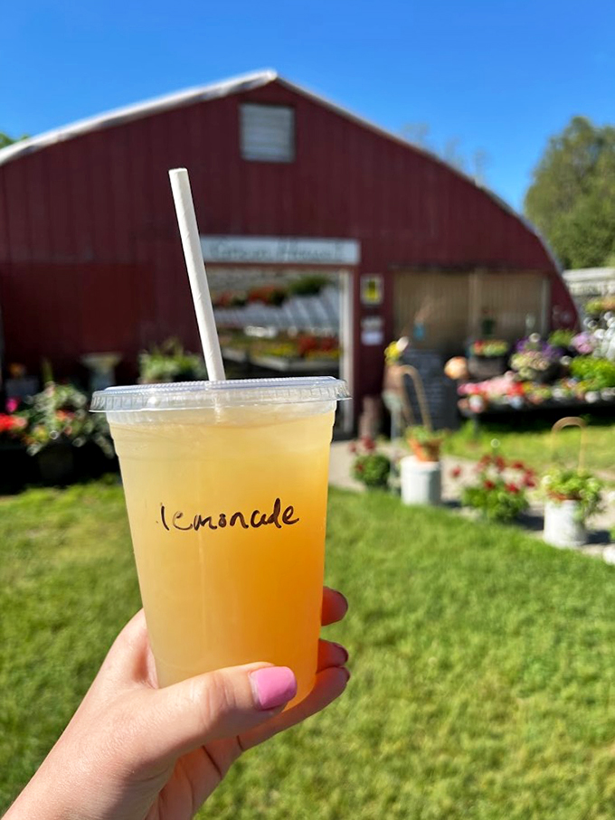 Summer in a cup: fresh lemonade poses for its glamour shot against a backdrop of pastoral perfection.