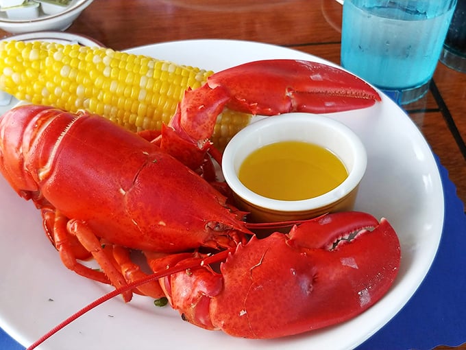 Maine's signature crustacean strikes a pose with corn on the cob, making every plate look like a New England postcard come to life.