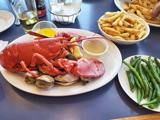 This magnificent Maine lobster, surrounded by steamers, looks ready for its seafood celebrity close-up. Butter, anyone? Photo credit: Ginni B