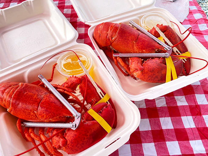 Twin lobsters lounging in their takeout containers like they're at a seafood spa. The butter's waiting in the wings. Photo credit: SIJIA GUO
