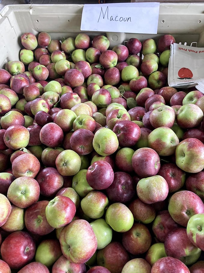 Meet the Macoun: the apple that thinks it's a wine. Complex flavors in a crisp package &ndash; it's the sophisticate of the orchard.