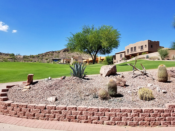 Desert meets manicured perfection. The contrast between wild terrain and pristine greens is as striking as a hole-in-one.