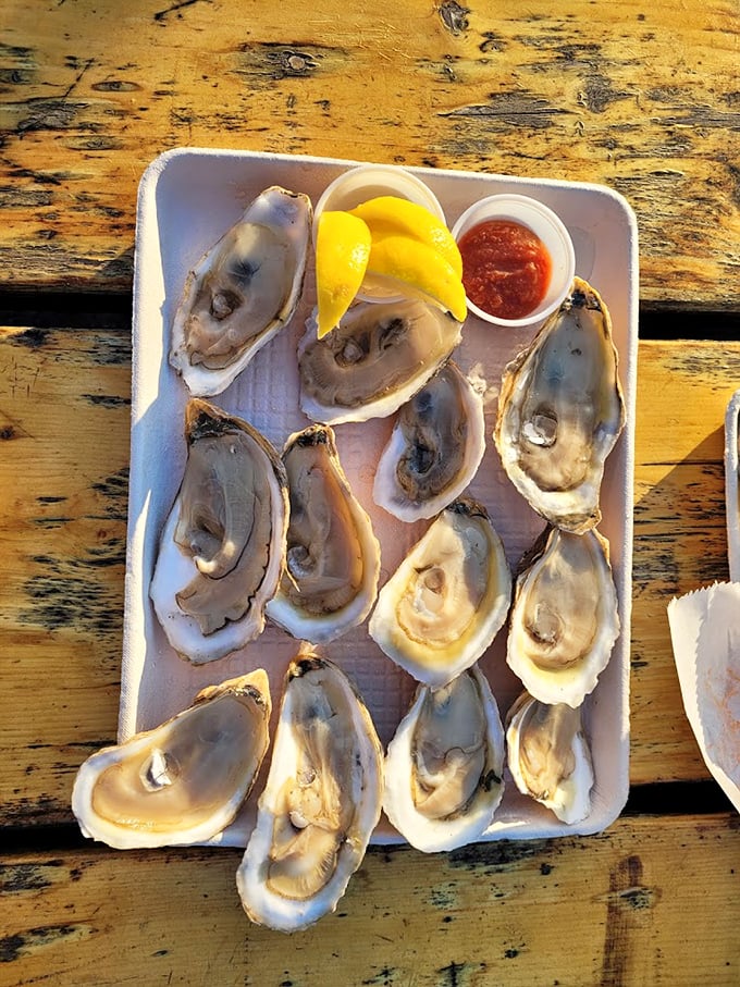 Fresh-shucked oysters glisten like pearls, waiting to deliver that perfect briny kiss of the Atlantic. Photo credit: Jenet Santos