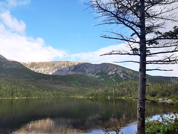 The crystal-clear waters tell stories of glaciers past, while mountain reflections paint double masterpieces on nature's canvas.