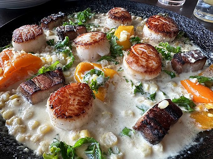 Perfectly seared scallops rest on a cloud of cream sauce, proving that sometimes the best things in life float. Photo credit: Peter Papp