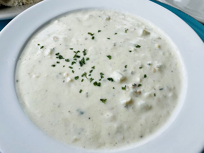Creamy waves of chowder dotted with seafood treasures &ndash; like the ocean decided to hug your spoon. 