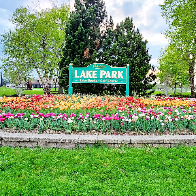 Spring tulips create a technicolor welcome mat beneath the Lake Park sign, nature's own version of a red-carpet greeting.