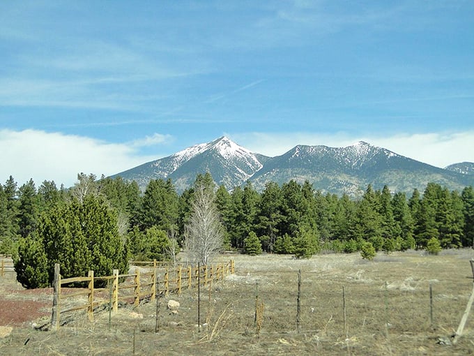 Winter wonderland or powdered sugar paradise? These peaks look good enough to eat, but let's stick to skiing, shall we? Photo credit: Globebugs 