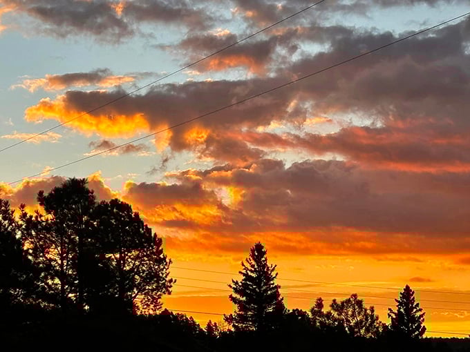 Nature's nightly fireworks: Alpine's sunsets paint the sky in hues so vivid, you'll wonder if Mother Nature's been taking art classes.