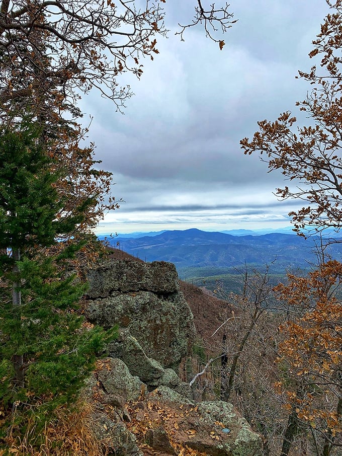 Fall colors frame this stunning vista like nature's own Instagram filter, no social media editing required.