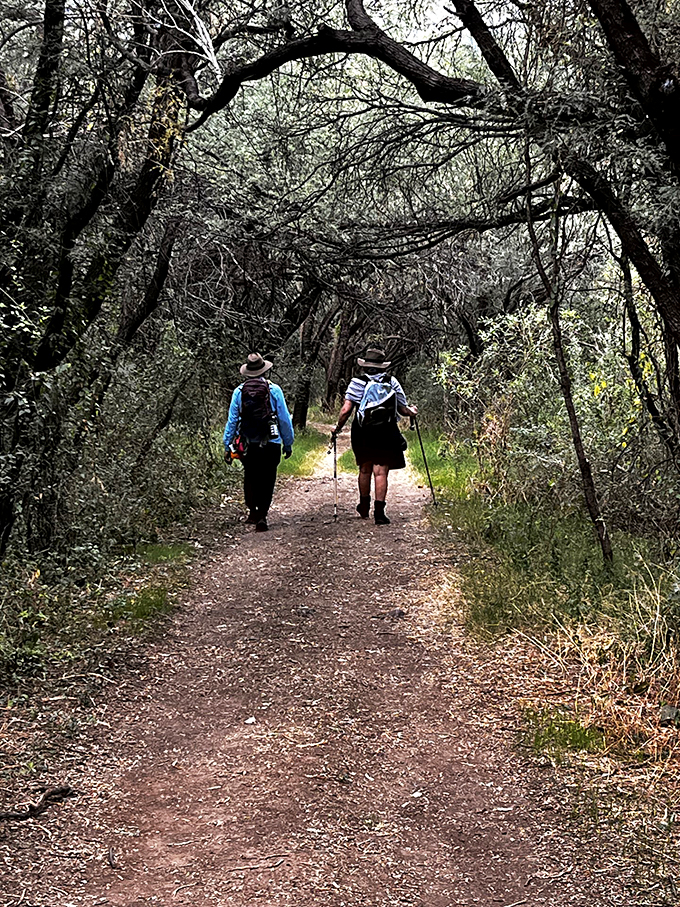 Nature's own cathedral! This trail's got more twists and turns than a telenovela plot. Hiking boots, not soap opera drama, required.