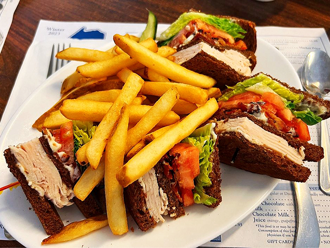 This turkey club sandwich isn't messing around &ndash; triple-decker perfection with crispy fries standing guard.