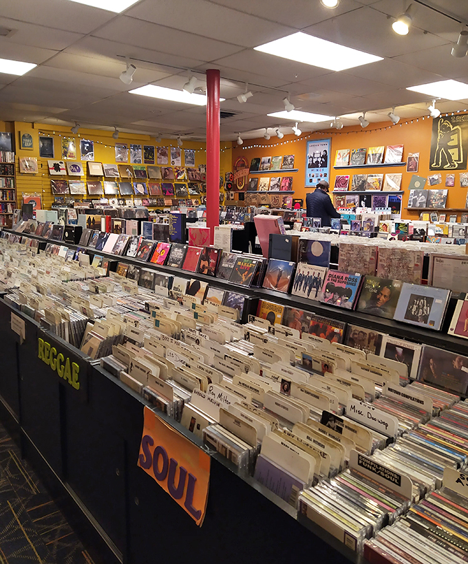 From twang to bang, country to rock – this musical buffet has something to satisfy every auditory appetite.