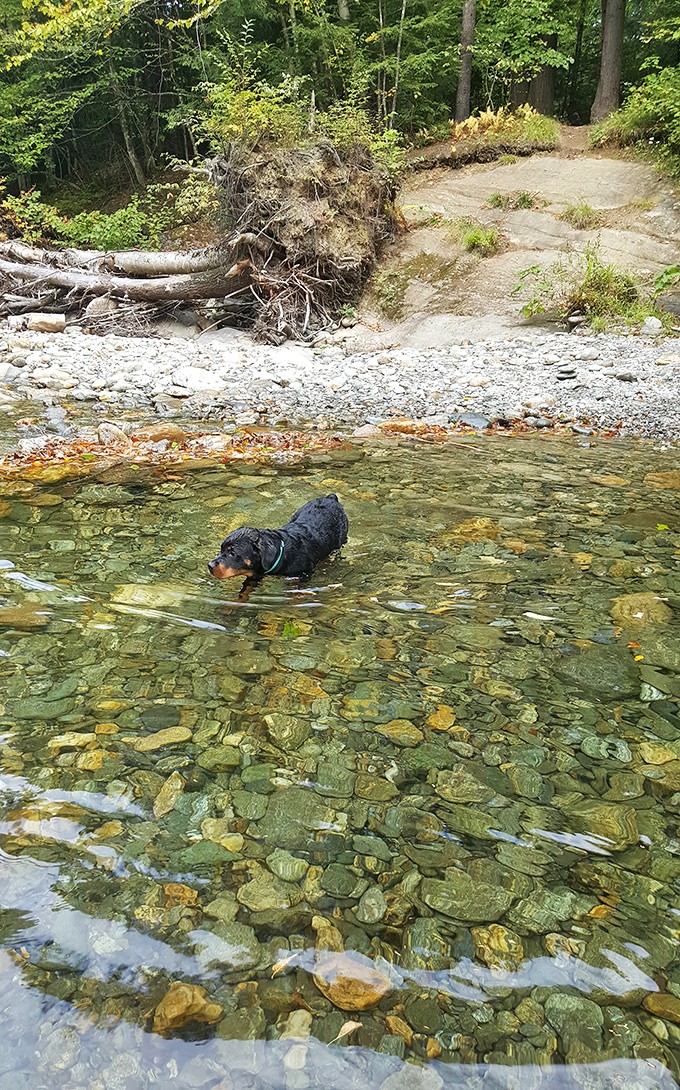 Nature's hot tubs, minus the chlorine and plus a whole lot of wow. These pools are ready for their Instagram close-up!