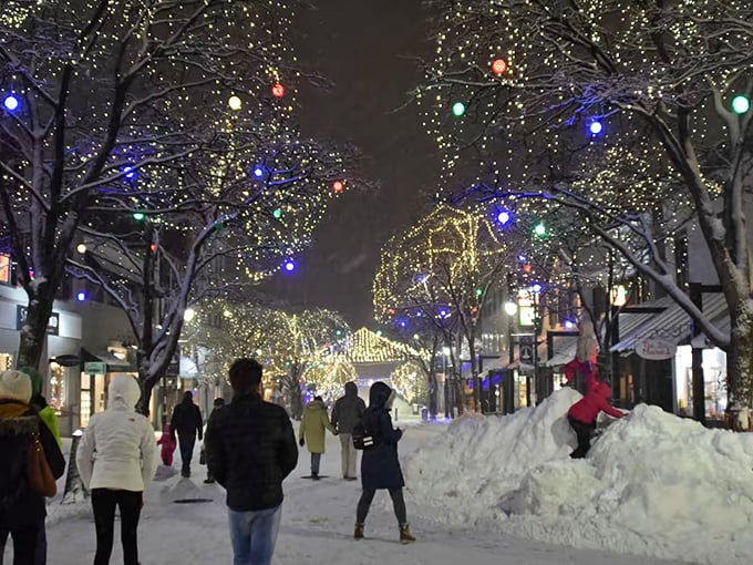 Winter in Burlington: where snowflakes dance like sugarplum fairies and the streets transform into a twinkling wonderland. Grab your hot cocoa and dive in!