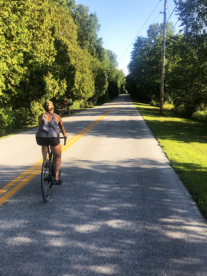 Two wheels, endless possibilities: This tree-lined path is practically begging for a leisurely bike ride or a romantic stroll.